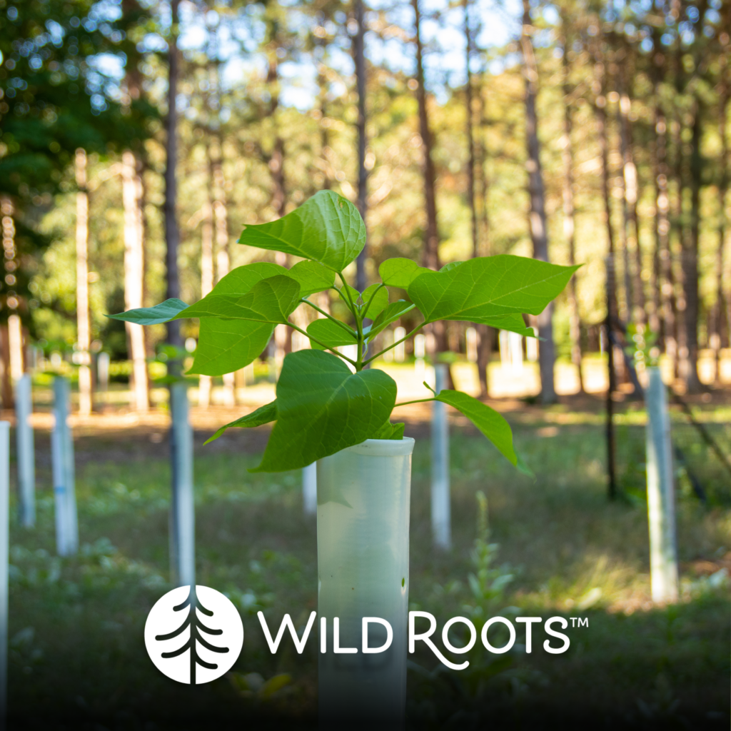 The Wild Roots Landowner Program Returns for the 2023-2024 Season ...